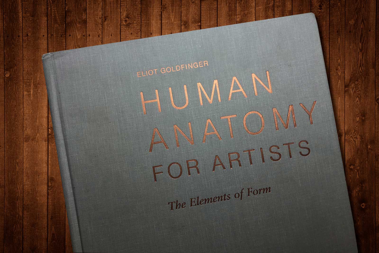 Human Anatomy For Artists Human Anatomy For Artists